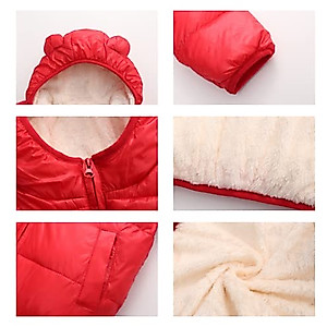 aporake Toddler Kids Baby Boy Girl Winter Hooded Clothes 3D Ear Zipper Hoodie Coat Solid Color Long Sleeve Plush Warm Jacket (Black, 3-6 months)