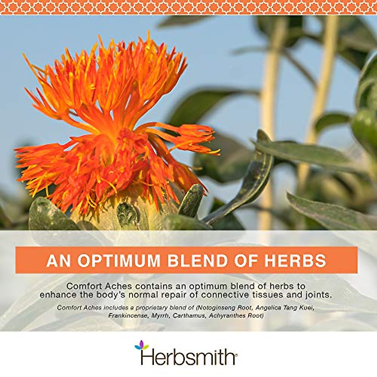 Herbsmith Comfort Aches – Herbal Pain Relief for Dogs + Cats – for Pet Aches + Pains – Anti-Inflammatory Supplement – 20 Tablets