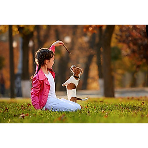 K9 Collagen Hip & Joint Supplement for Dogs - Fish Collagen Powder for Canines, Supports Healthy Joints, Improved Mobility, Pain Relief, Pet Wellness, Puppy Care, 1 Month Supply