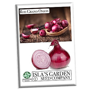Red Grano Onion Seeds for Planting, 300+ Heirloom Seeds Per Packet, (Short Day) Non GMO Seeds, (Isla's Garden Seeds), Botanical Name: Allium cepa