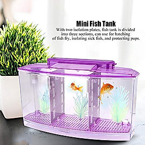Fish Tank, Adjustable Light Isolation Acrylic Small Aquarium, with LED Light for Small Fishes for Betta with Water Change Valve(Purple)