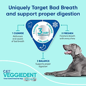 Virbac CET Veggiedent FR3SH Tartar Control Chews for Dogs, Small