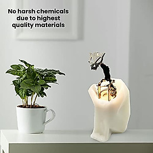 Wick Works Loki Cat Skeleton Candle | Reveal Polished Steel Frame | 7” H | Longest Burn Time! | Beautiful Gift Box | Home or Office Decor| Unique Gifts for Cat, Animal, Art Lovers (White, Unscented)