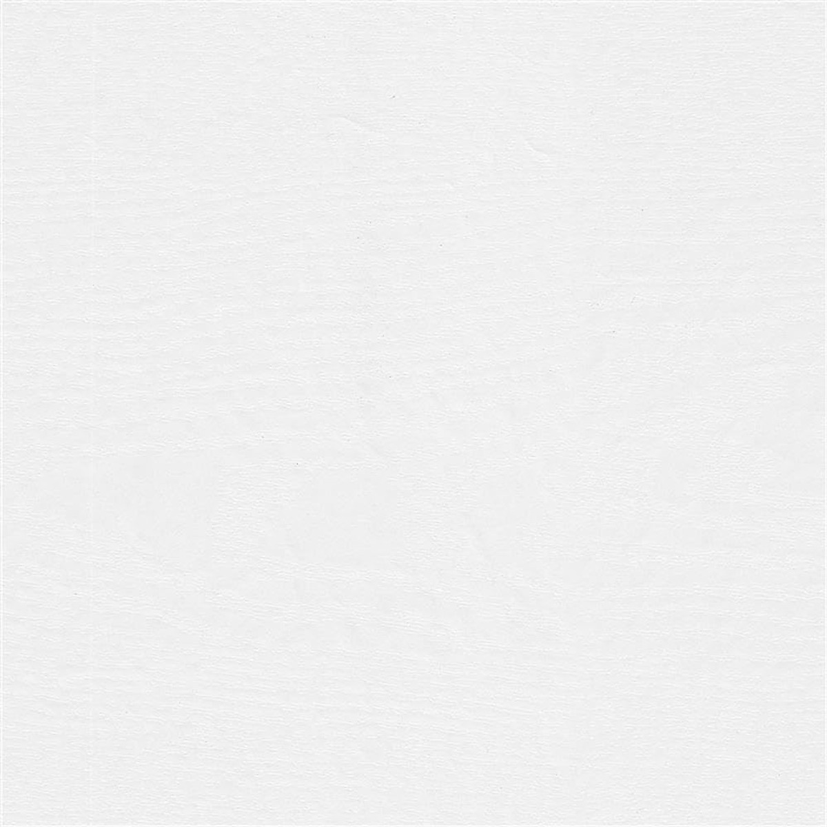 Bush Furniture Westbrook 60W Computer Desk with Hutch and Storage in White Ash | Farmhouse Desk for Home Office Workspace