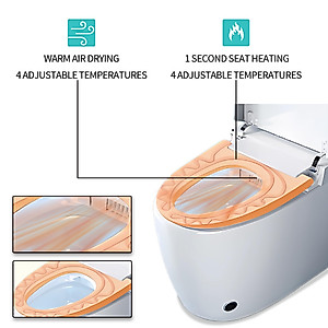 Smart toilet with bidet built in One-piece Bidet Toilet Seat,Foot Sensor Flushing, Heated Seat and Multi-Functional Remote Control Night Light,LED Display-Black