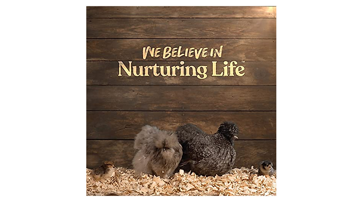 Harris Farms Hanging Poultry Feeder | Easy Clean & BPA Free