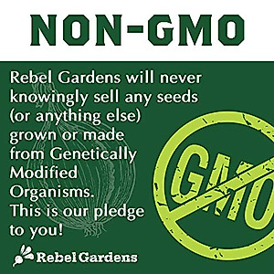 Organic Basil Seeds - Set of 7 Heirloom Non-GMO Seed Varieties - Thai, Genovese, Cinnamon, Spicy Globe, Purple Opal, Red Rubin, and Lime