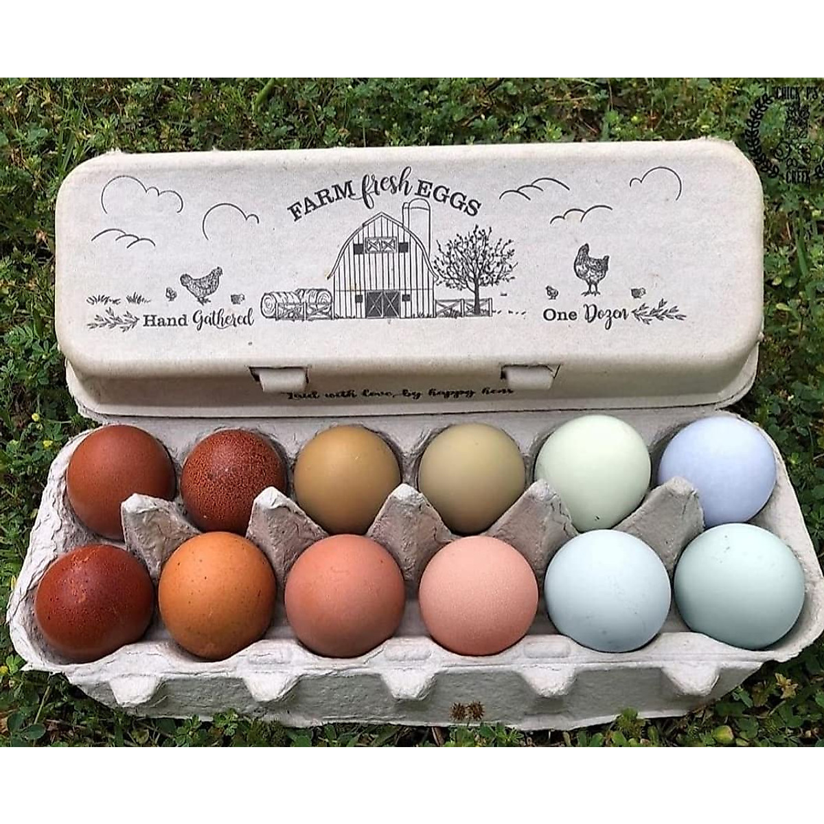 20 Egg Cartons – Adorable Printed Vintage Design Flattop Carton for your Farm Fresh Eggs, 100% Recycled & Eco-friendly Cartons, Sturdy & Reusable, Holds Small to XL Chicken Eggs