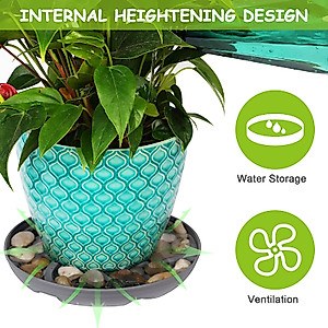 Creproly Plant Saucer Plant Tray Flower Pot Saucers 6inch/8inch/10inch Durable Plastic Plant Drip Trays with Water Storage Function for Indoor Outdoor Garden Potted Plants (10 Pack) (Grey)