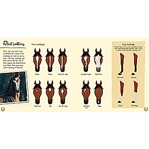 The Book of Horses: The ultimate guide to horses around the world