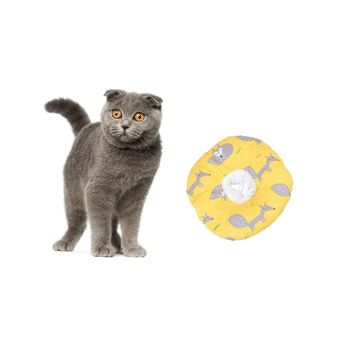 2pcs Dog Elizabeth Collar Cone for Cats Dog Collars for Medium Dogs Elizabethan Pet Collar Red Cat Collar Cat Collar Soft Cone for Dogs Choker Creative Cat Collar Soft Cute The Cat