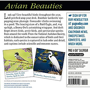 Audubon Birds Page-A-Day Calendar 2020