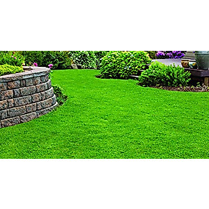 Microlawn Grass Seed & Microclover Mixture