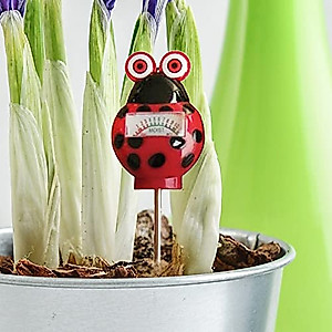 AM Conservation Group - Simply Conserve Ladybug Indoor & Outdoor Soil Moisture Meter - Ladybug Themed Moisture Meter for Plants with Easy-to-Read Dial