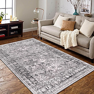 HEBE Washable Area Rug 3x5 Entry Rug Soft Distressed Area Rugs Non Slip Indoor Door Mat Boho Rug Oriental Accent Throw Rug Floor Carpet for Bedroom Kitchen Entryway Bathroom