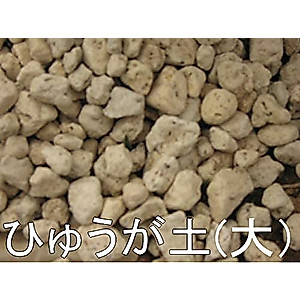 Japanese Hyuga Pumice for Orchid & Bonsai Tree Soil Mix - Large Grain (12 mm-25 mm) 18 Liter