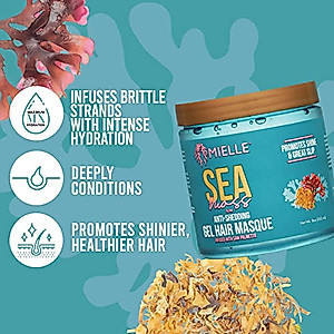 Mielle Organics Sea Moss Anti-Shedding Curl Gel Hair Masque