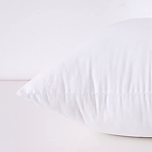 HOMESJUN Set of 2, Cotton Cover Decorative Throw Pillow Insert, Square, 18x18 Inch