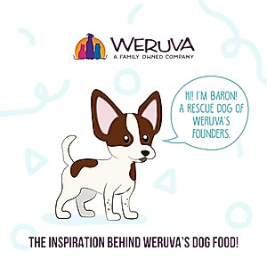 Weruva Meals 'n More Natural Wet Dog Food, Funky Chunky Plus Skin & Coat Health, 3.5oz Cup (Pack of 12)