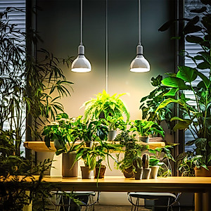 Barrina LED Grow Light Bulb, 50W Full Spectrum, with 16.4FT Power Cord, Hanging Grow Lights for Indoor Plants, Large Tall Plant, Garden, Flowers, Greenhouse, 2-Head