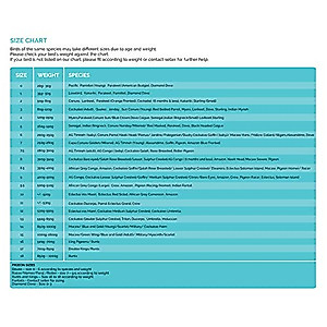 Bev's Bird Boutique - Patriot Larger Sizes - Open Back Style (8.5)