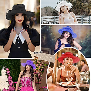 Century Star Kentucky Derby Fascinator Hats for Women 2024 Floral Tea Party Bridal Church Wedding Headwear Black One Size