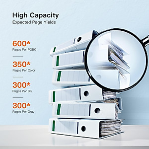 E-Z Ink (TM) Compatible Ink Cartridge Replacement for Canon PGI-250XL PGI 250 XL CLI-251XL CLI 251 XL to use with Pixma IP8720 (1 Large Black, 1 Cyan, 1 Magenta, 1 Yellow, 1 Small Black,1 Gray) 6 pack