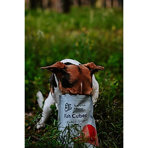 Eli Cod Skin Cubes 3 oz - Naturals Premium Dog Treats, Fish Skin Dental Treats, Rich in Protein & Omega 3, Low in Fat, Grain Free, Single Ingredient, Crispy, Hypoallergenic, Gluten Free, Air Dried