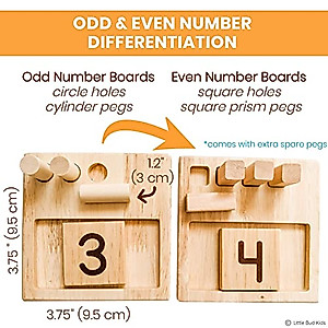 LITTLE BUD KIDS Counting Pegs - A Ten Frame Math Manipulatives Number Montessori Toy for Toddlers & Kindergarteners