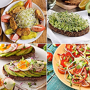 Seed Sprouting Jar Broccoli Sprouts Growing Kit with Screen Lids Wide Mouth Mason Jars for Growing Broccoli, Alfalfa, Mung Bean, Seed Germination Kit Indoor Sprouter Set, 2 Pack