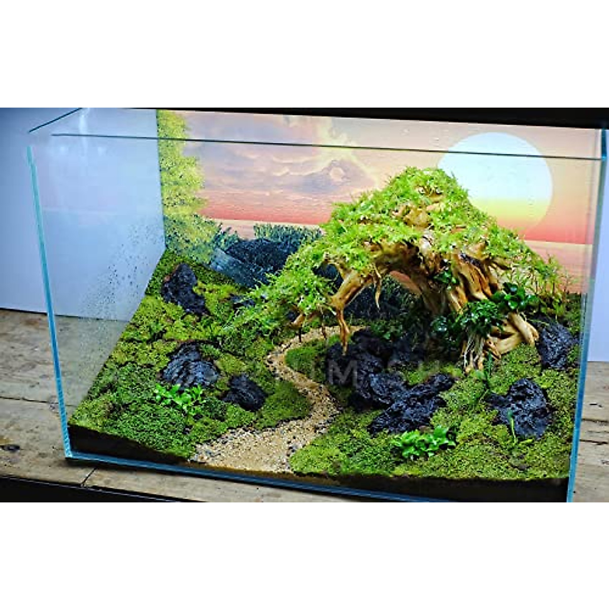 Bonsai Driftwood Aquarium Tree for Aquarium Decor Fish Tank Decorations