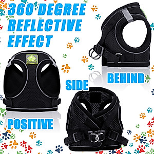 6 Pcs Small Dog Harness with Retractable Leash and Bowknot Pet Collar Set Soft Mesh Padded Vest Harness 10 FT Pet Walking Leash with Anti Slip Handle Adjustable Puppy Collar for Dog Cat (M)