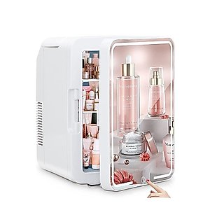 NESLIN 8L Refrigerator Vanity Mirror Two-in-One Large Capacity Portable Dresser Vanity Mirror Car Bedroom Mini Small Refrigerator
