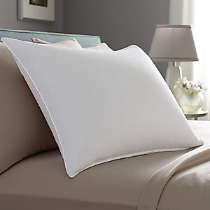 Pacific Coast Touch of Down Standard Size 2-Pillow Set with 2 Standard Size Pillowtex Pillow Protectors