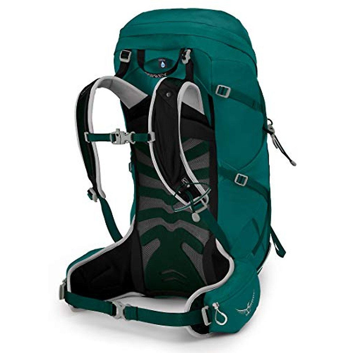 Osprey Tempest 34L Women's Hiking Backpack with Hipbelt, Jasper Green, WXS/S