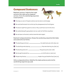 Scholastic Success with Grammar Grade 4 Workbook