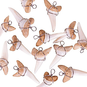 BlueRica Shark Tooth on Boho Vinyl Fimo Heishi Beads Necklace (Pink)