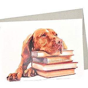 Vizsla Card (1 Premium Quality Folded Card, Blank Inside) for Birthday, Thank You, Get Well and Sympathy Wishes - 420