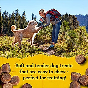 Zuke's Mini Naturals Dog Training Treats, Salmon Recipe, Soft Mini Dog Treats with Vitamins & Minerals, Made for All Breed Sizes (Chicken, 16 Ounce (Pack of 2))