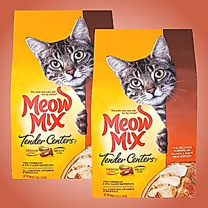 Meow Mix Tender Centers Dry Cat Food Bundle | Includes 2 Bags of Meow Mix Tender Centers Cat Food Salmon & White Meat Chicken Flavors (3 LB) | Plus Paw Food Scoop!