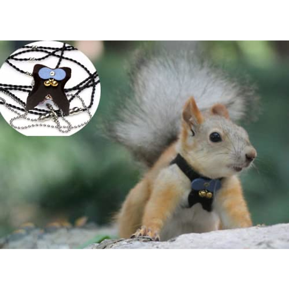 Squirrel Traction Rope Strap Anti-Biting Chain Rope, Adjustable Vest, Small Animal Walking Harness with Lead Leash with Free Collar for Hamster Gerbil Rat Mouse Ferret Chinchilla (Black with Blue)