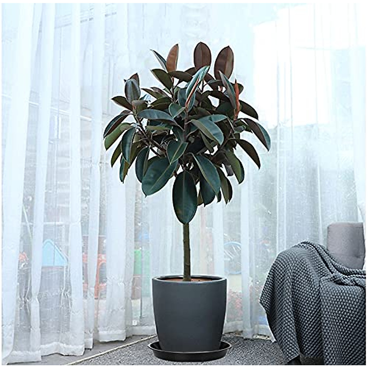 Angde 6 Pack of 14 inch Plant Saucer (12 Inch Base), Plant Tray 14 Inch Round, Plant Saucers for Indoors, Plant Trays for Pots, Plant Flower Pot Saucers, Pot Saucers for Planter 11-14" (Black)