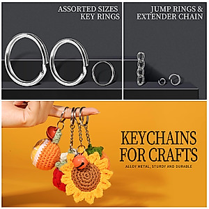 LEOBRO 265PCS Keychains Clips with Key Rings, Keychain, Metal Lobster Claw Clasps and Key Chain Rings, Key Chains Key Rings Bulk, Keychain Rings, Silver Keychain Kit Clip for Keys Crafts