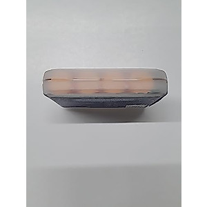 AquaVial Well Water Testing Kit 4 Pack | E Coli and Coliform Water Test Kit | Water Testing Kits for Drinking Water Pool Pond Lake Well | Water Test Kit Easy to Use | Home Industrial Water Test Kit