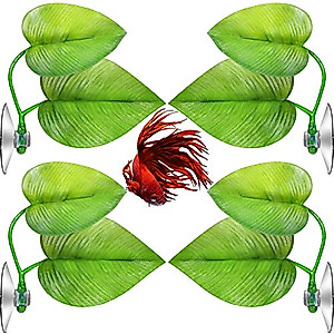 4 Pieces Betta Bed Leaf Hammock for Betta Fish, Lightweight and Realistic Resting Spot, No BPA, Practical, Comfortable and Safe (Double Leaf)