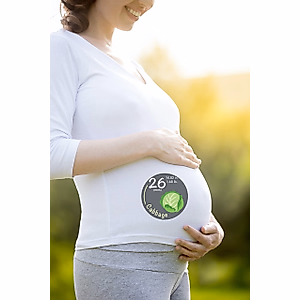 Bump Stickers - 40 Weekly Pregnancy Tracking Stickers – Week 5 to 40 + 4 Bonus Stickers – Pregnancy Photo Prop – Fruit 3.93 Inch