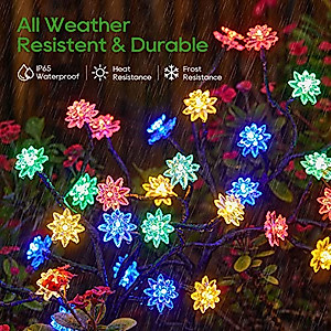 KOOPER Solar Garden Lights, 6 Pack Solar Lights Outdoor Waterproof, Multi-Color Solar Outdoor Lights Solar Flower Lights for Yard, Patio, Pathway Decoration, Double Layer Flower & Bigger Solar Panel