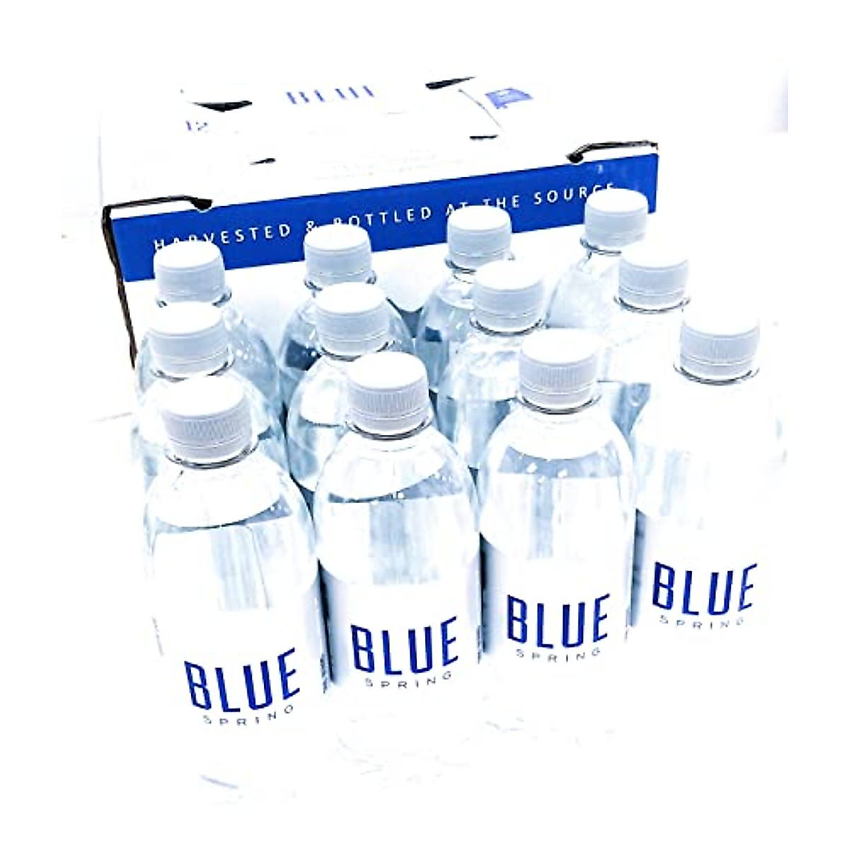 Blue Spring Living Water, Pure Premium Natural Spring Water, pH balance of 7.1-7.2, Bottled Spring Water, 16.9 Fl Oz, (Pack of 12)