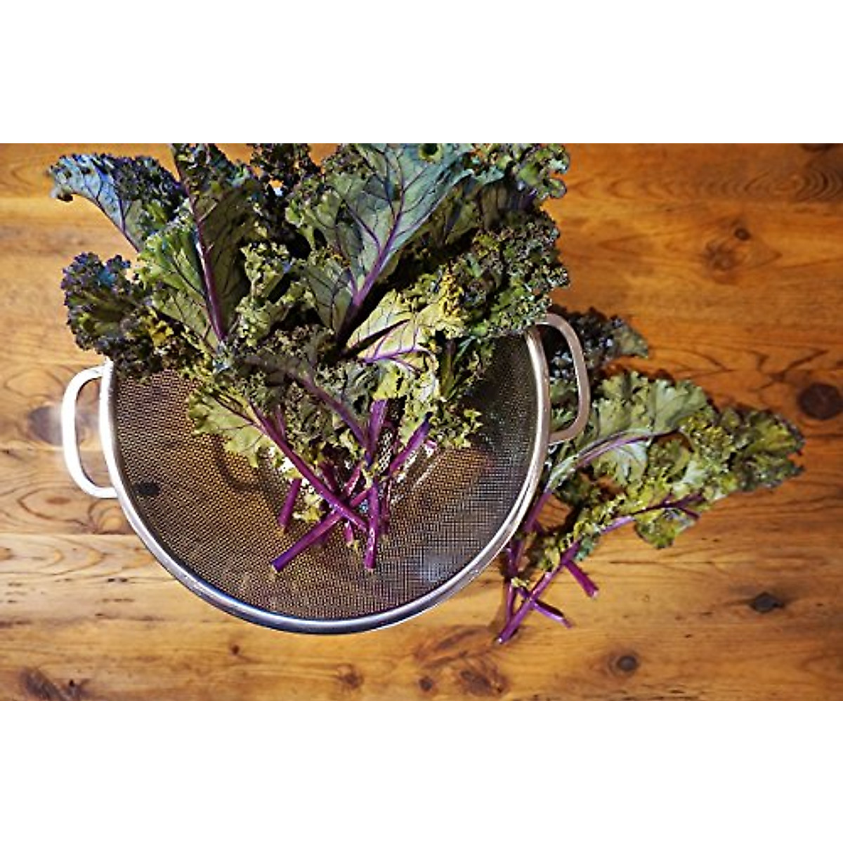 RSVP International International Endurance Stainless Steel Precision Pierced Colander, 5-Quart (Punch-5)