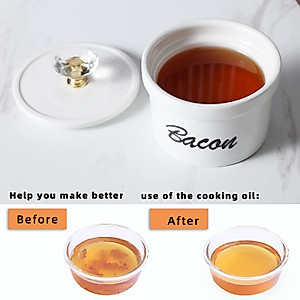 Bacon Grease Container Keeper with Crystal Lid and Strainer, 12 oz Ceramic Frying Oil Storage Can Container for Countertop,Farmhouse Kitchen Decor (Silver)